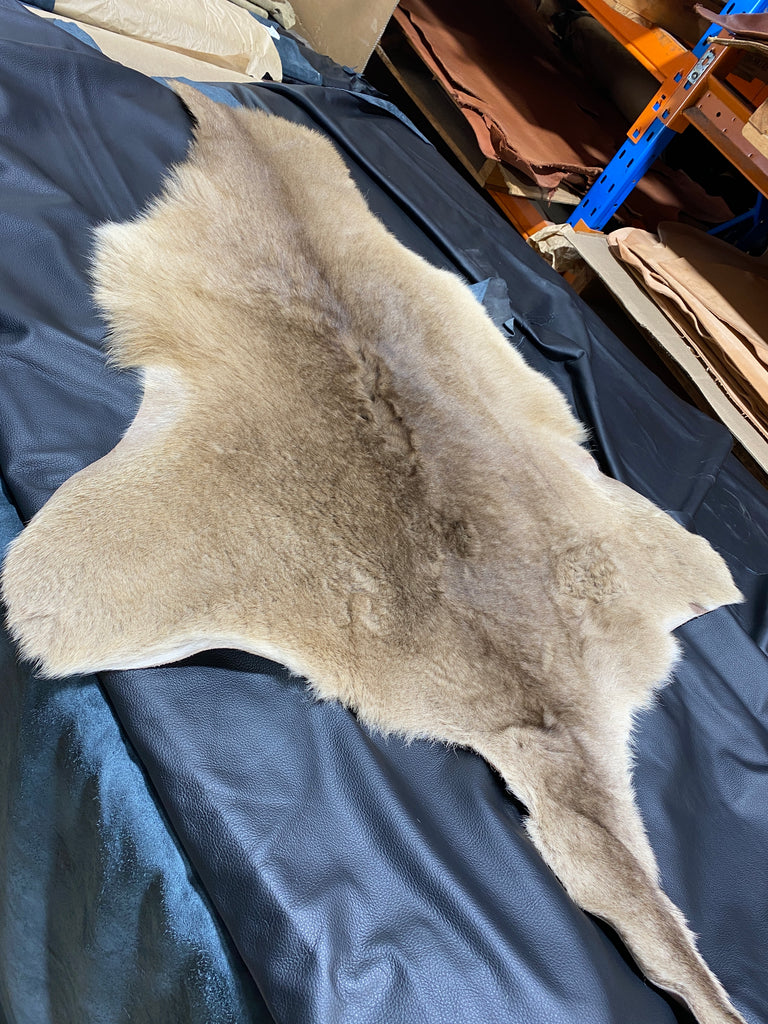 Hair on kangaroo hide - FREE SHIPPING – East Coast Leather