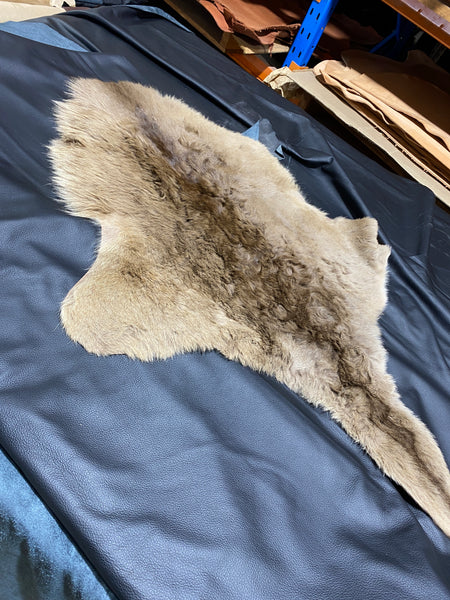 Hair on kangaroo hide - FREE SHIPPING – East Coast Leather