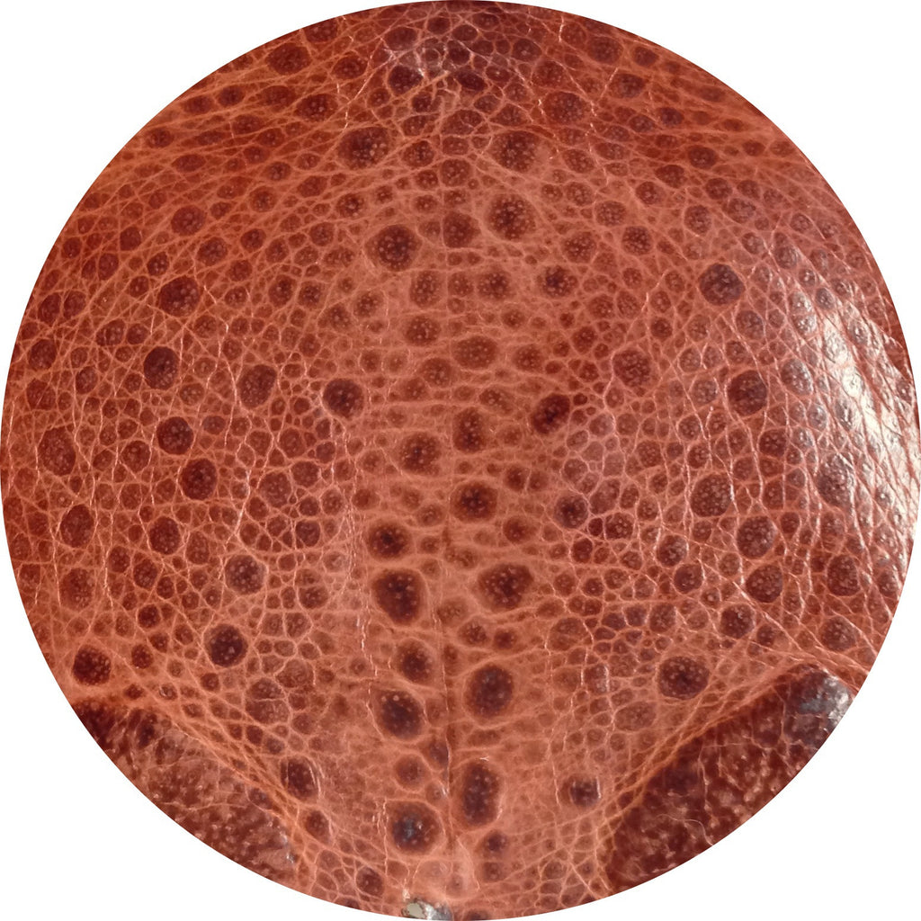 Polished Coloured Toad – East Coast Leather