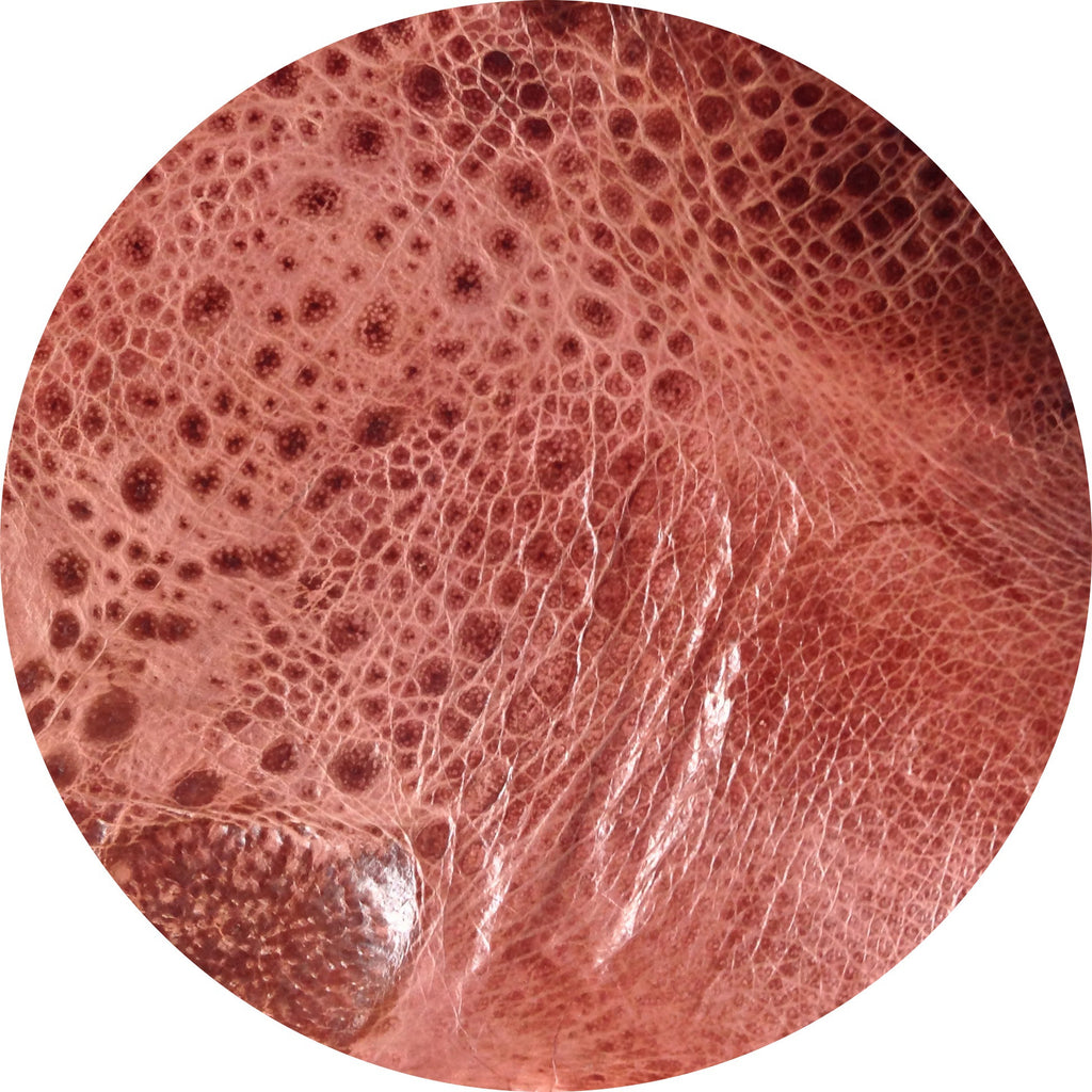 Polished Coloured Toad – East Coast Leather